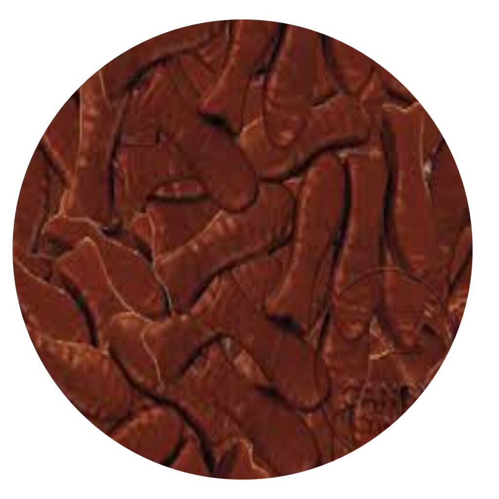 Baby Chocolate Fish 500g - Wicked Sweets & Lollies